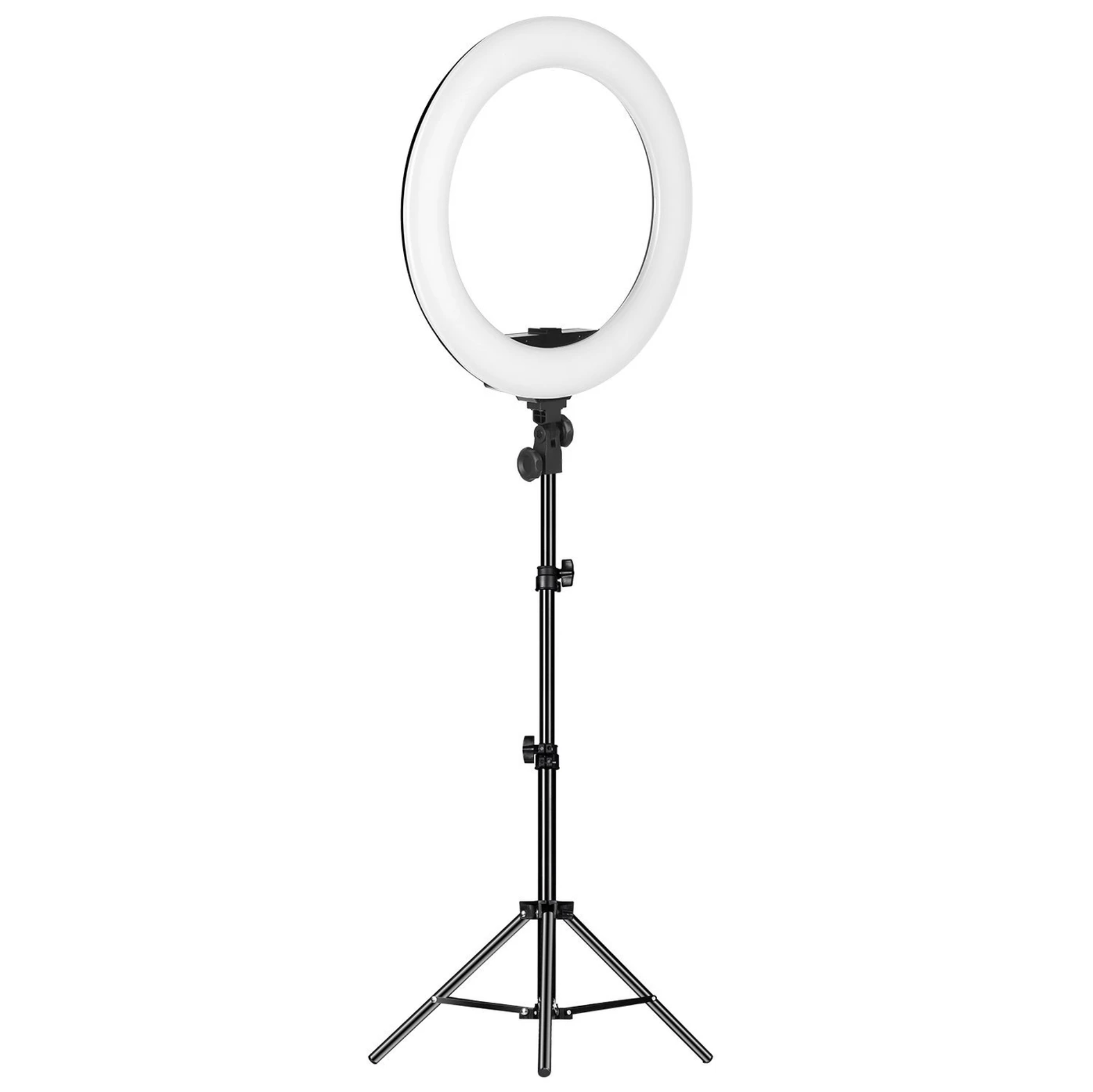 GVM LED Ring Light | Loyola University Chicago