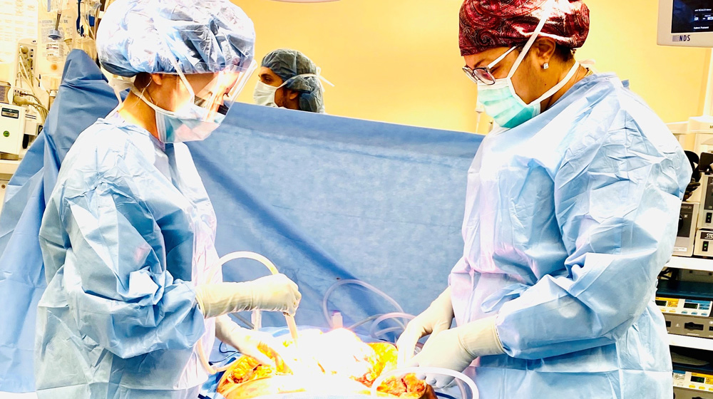 Diversity in Surgery Visiting Sub-Internship Program | Loyola ...